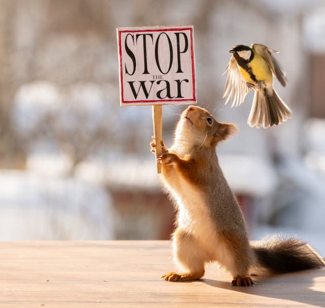 Wildlife photographer aims to spread a message of peace with anti-war ...