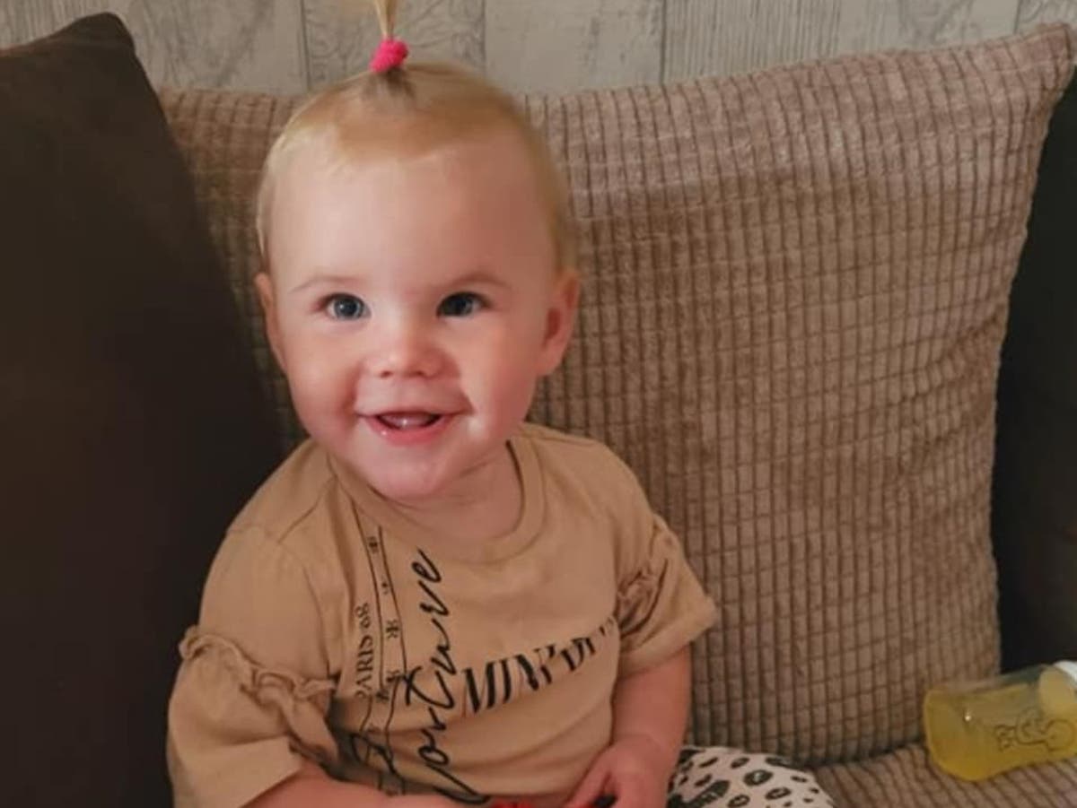 Bella-Rae Birch: Toddler killed at home by new dog pictured as family ...