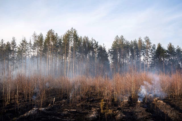 More than 10,000 hectares of forest burning in Chernobyl exclusion zone ...