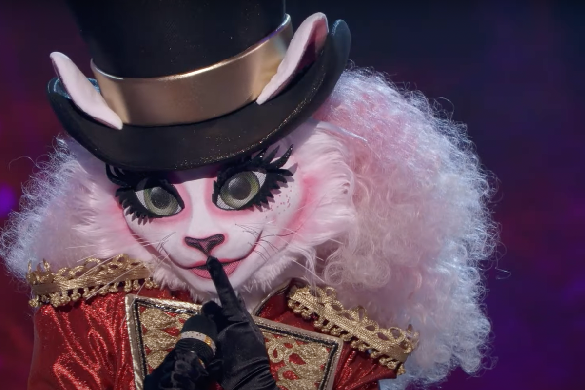 The Masked Singer US: Who are Ringmaster, Miss Teddy, and Armadillo ...