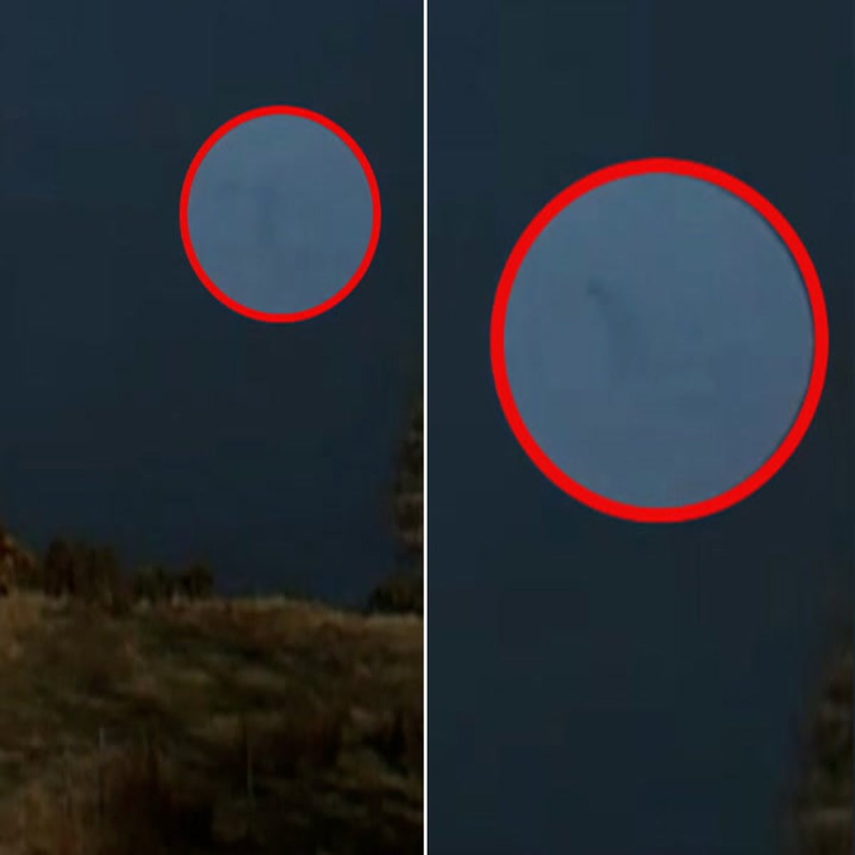 Monster Sightings 2022