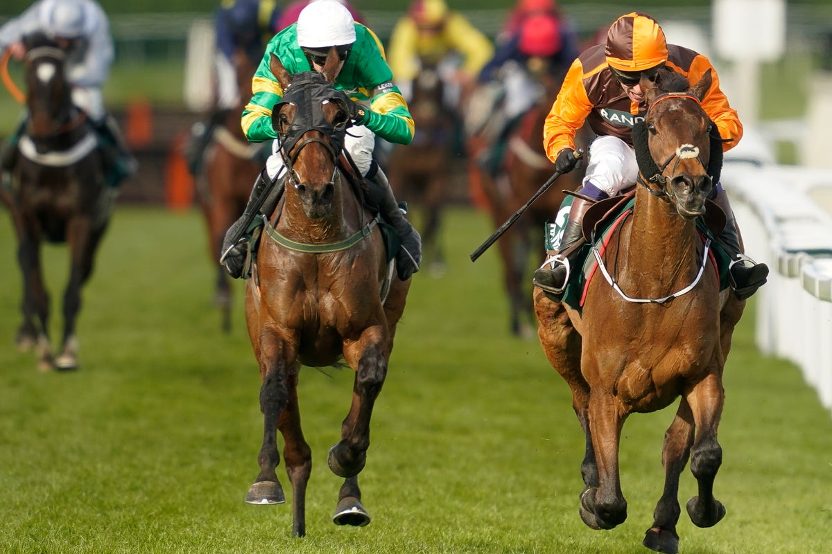 Betting sites down after Grand National: Bet365, William Hill, SkyBet ...