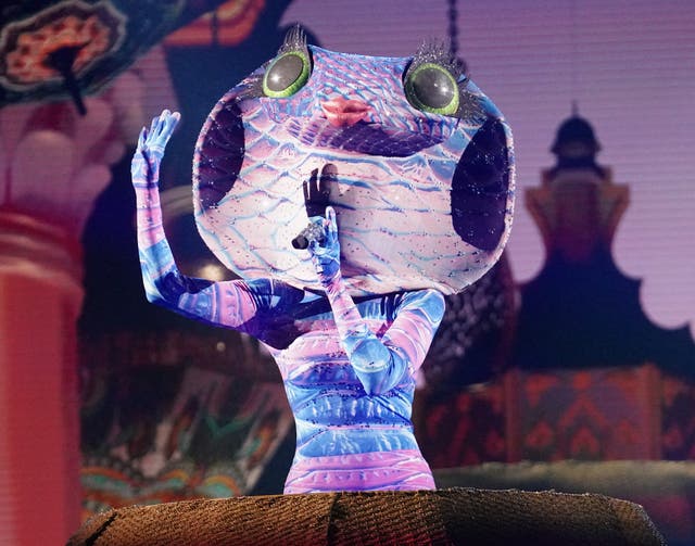 The Masked Singer US: Who are The Prince, Queen Cobra, and Space Bunny ...