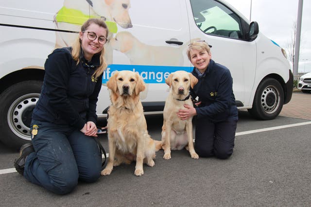 British Guide Dogs: How this family home became the ‘most popular on ...