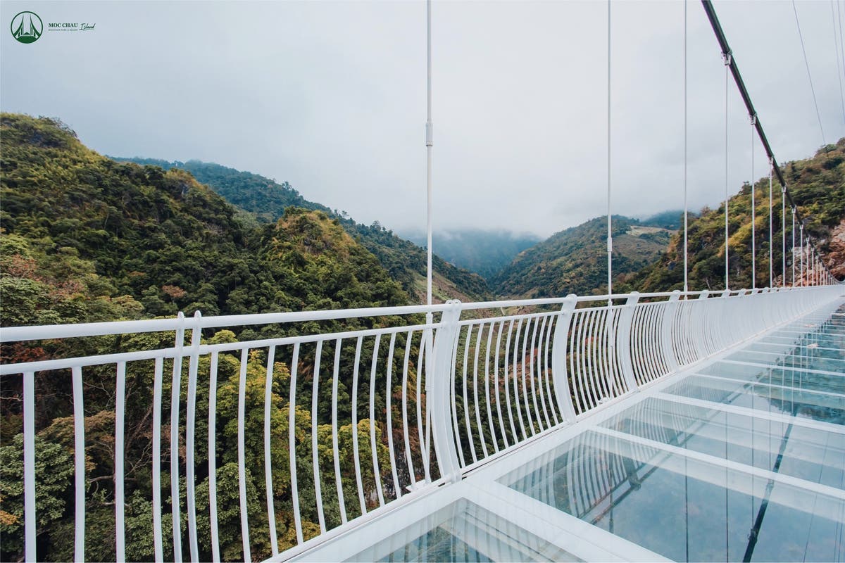 World’s longest glass-bottom bridge opens in Vietnam | The Independent