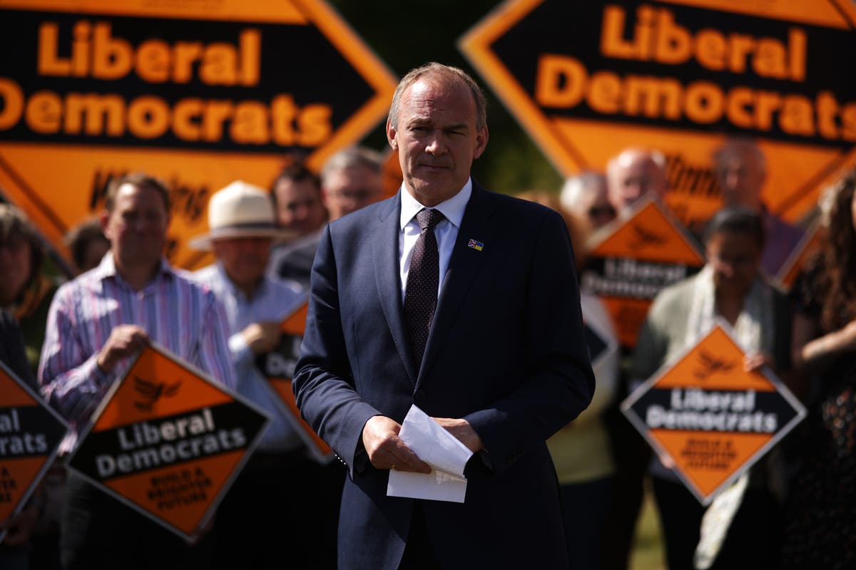 Liberal Democrats finally ‘recovering from disaster’ of election ...