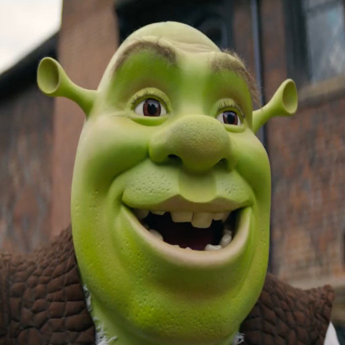 Shrek Ansikt PHOTO GALLERY: The Transformation Into Shrek At NSMT