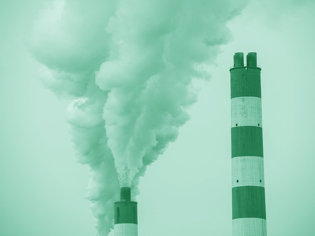 What is a carbon footprint and how can you reduce yours? | The Independent