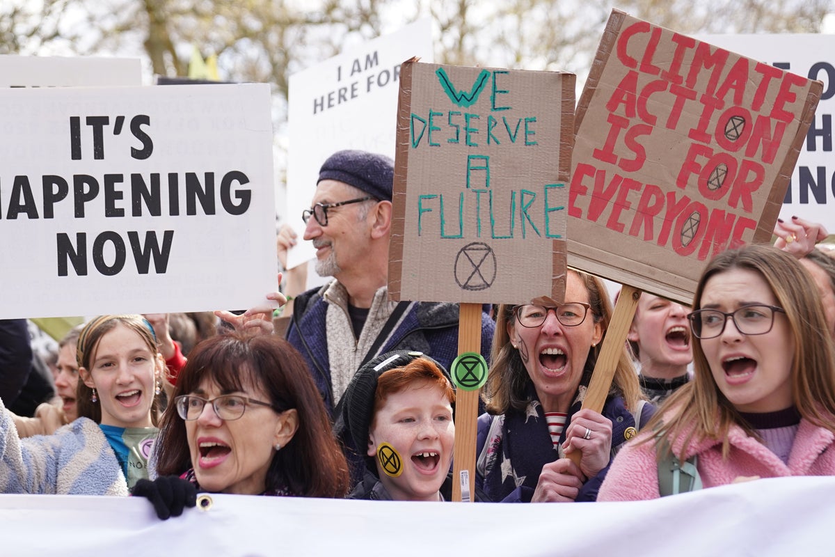 Eco-activists ‘could undermine energy security and hinder net-zero ...