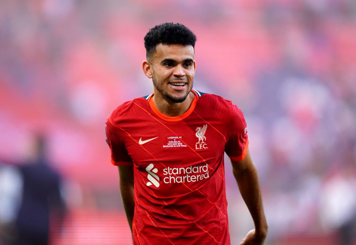 Luis Diaz in dreamland as he targets Champions League glory with ...