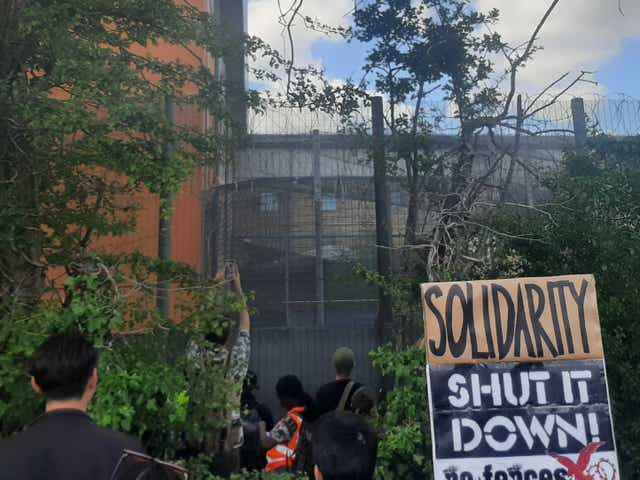 immigration removal centre - latest news, breaking stories and comment ...