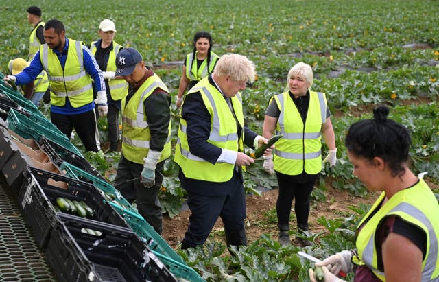 UK food strategy: What is it and what impact does it have? | The ...