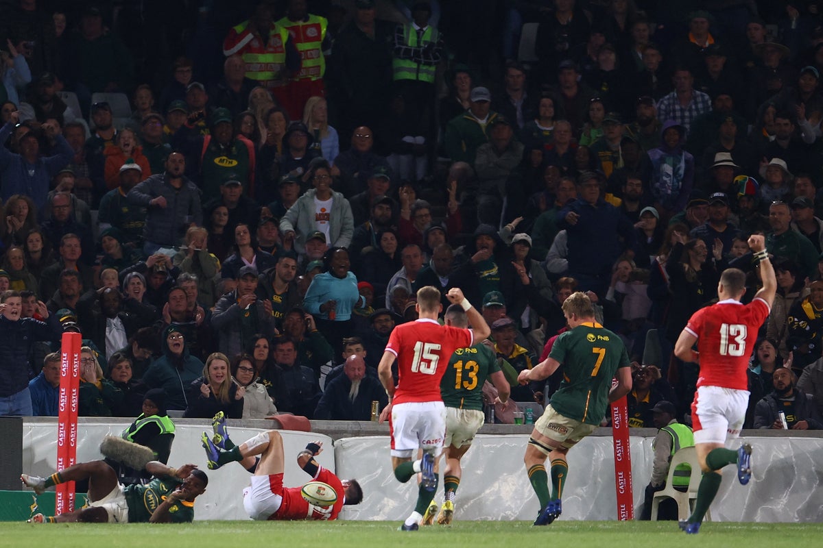 South Africa vs Wales LIVE rugby: Result and reaction as Wales make ...