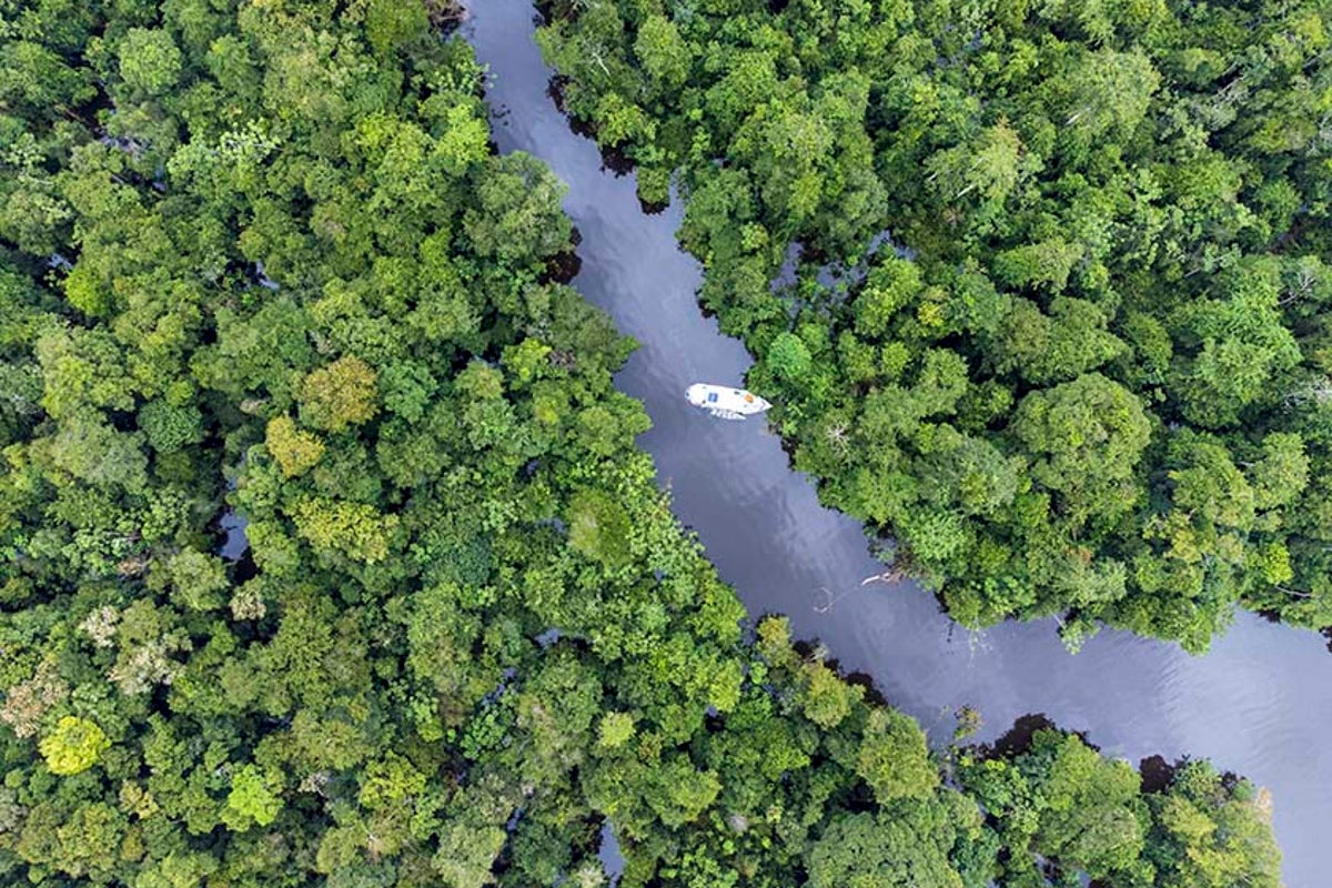 Exploring the largest swathe of protected rainforest in South America ...