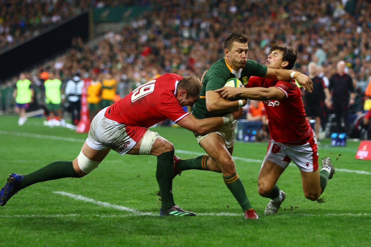 South Africa vs Wales: Final score and result as Springboks triumph in ...