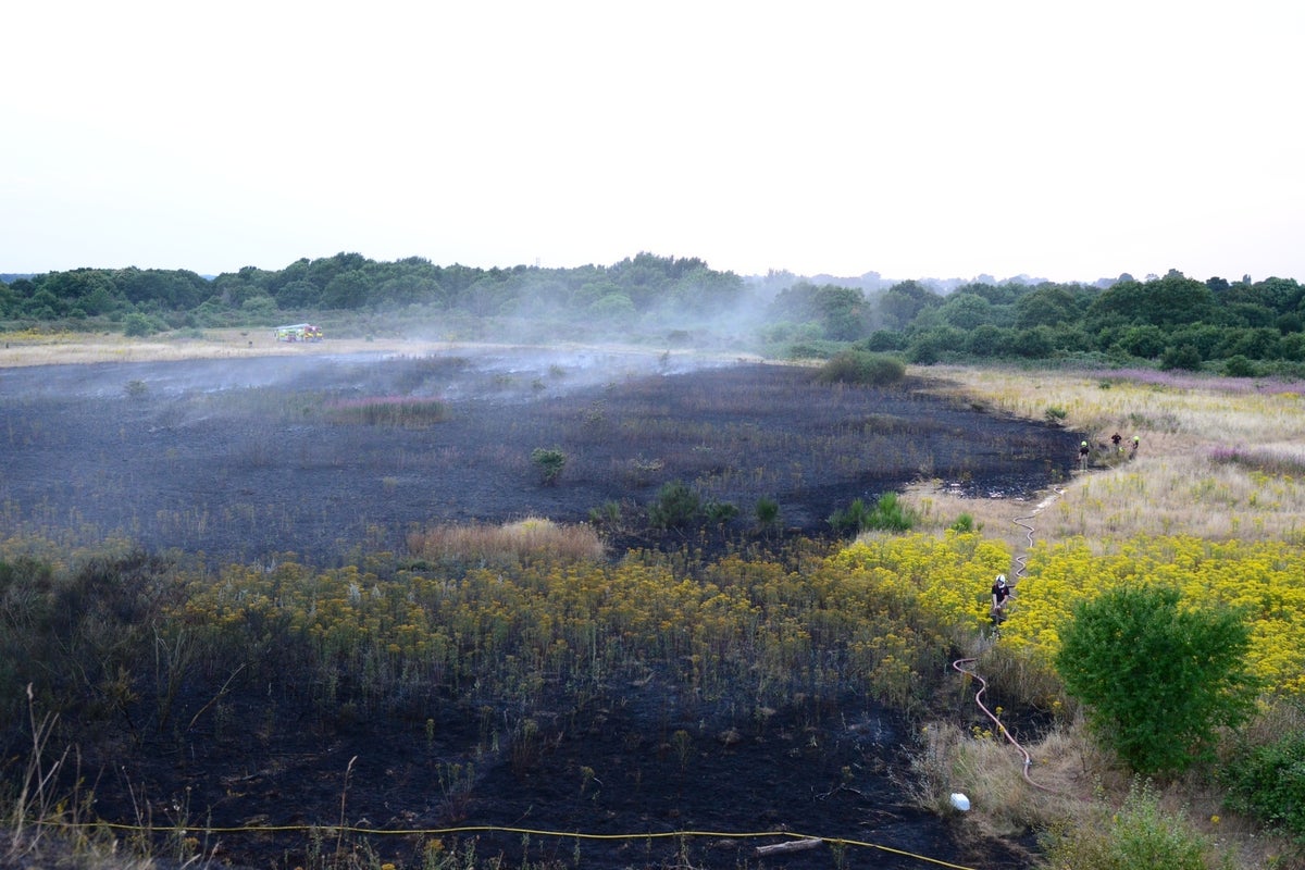 Major incidents in Norfolk and Suffolk amid ‘unprecedented number of ...