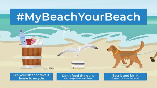 Bird experts criticise campaign claiming seagull poo pollutes water ...