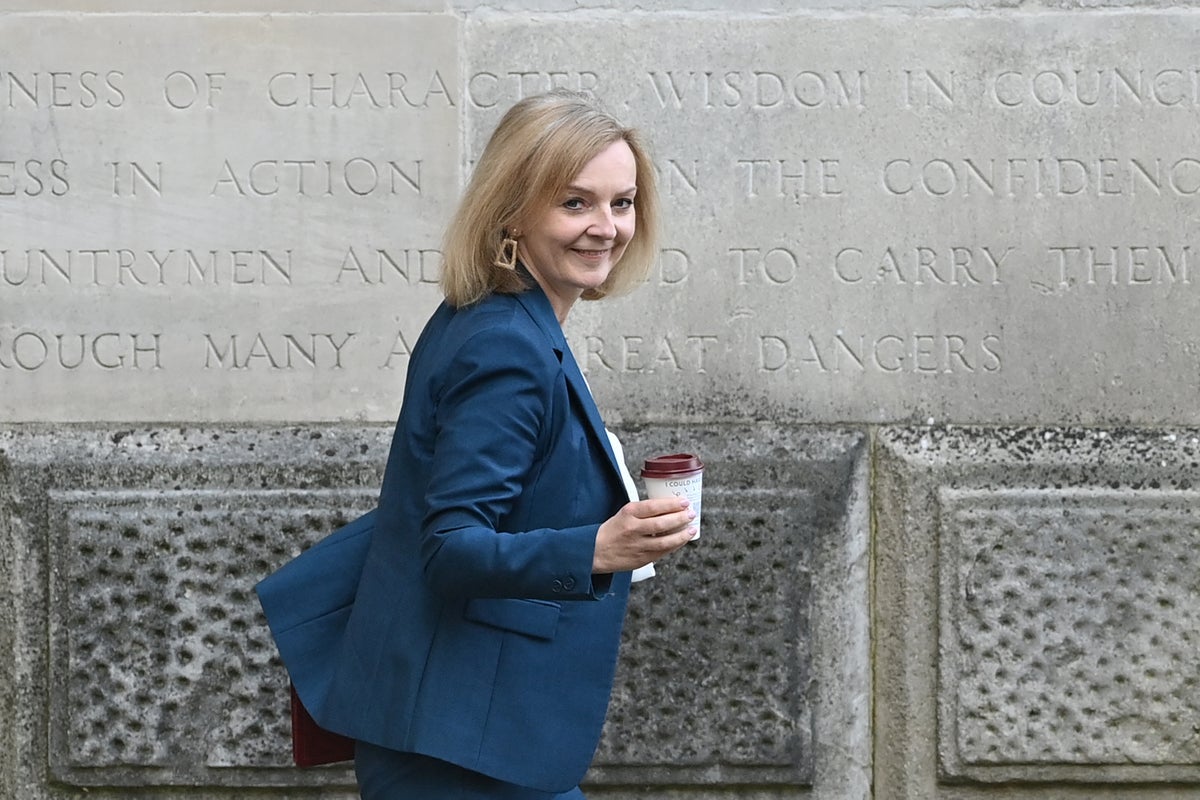 Liz Truss says she would end junk food taxes and scrap plans to ban ...