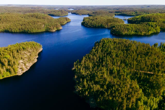 Inside the fight to bring the Saimaa ringed seal back from the brink of ...