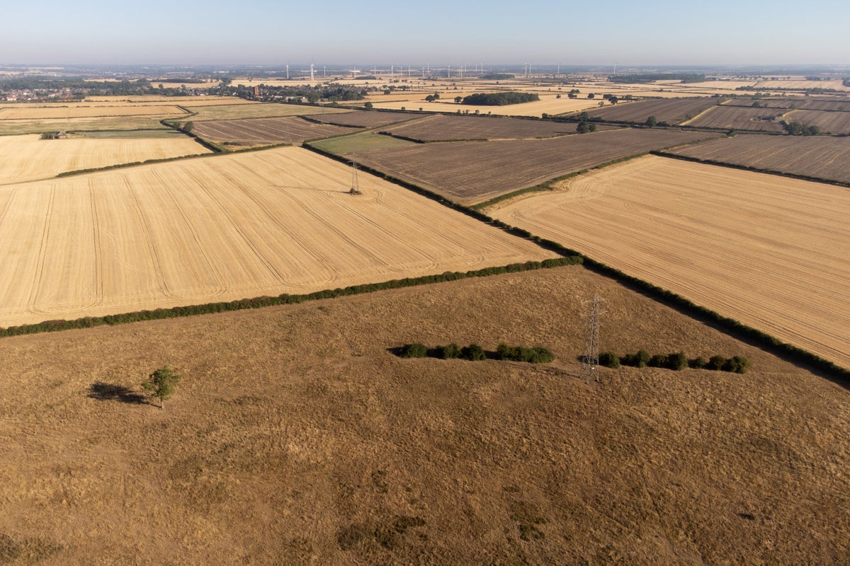 Drought declared for parts of England after driest summer for 50 years ...