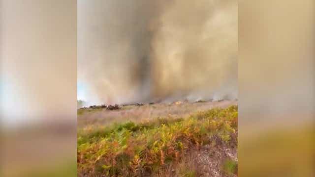 fire - latest news, breaking stories and comment - The Independent