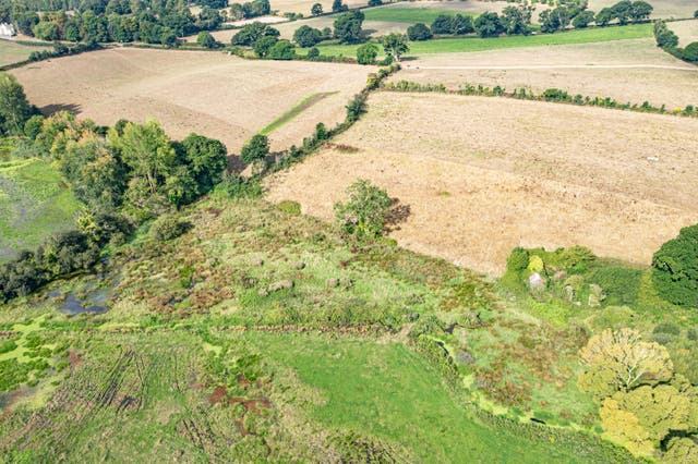Beavers released by National Trust to regenerate land ravaged by ...