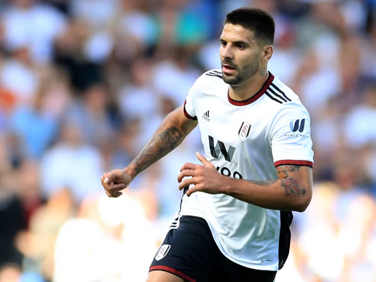 Aleksandar Mitrovic hails Marco Silva changes after Fulham’s positive ...