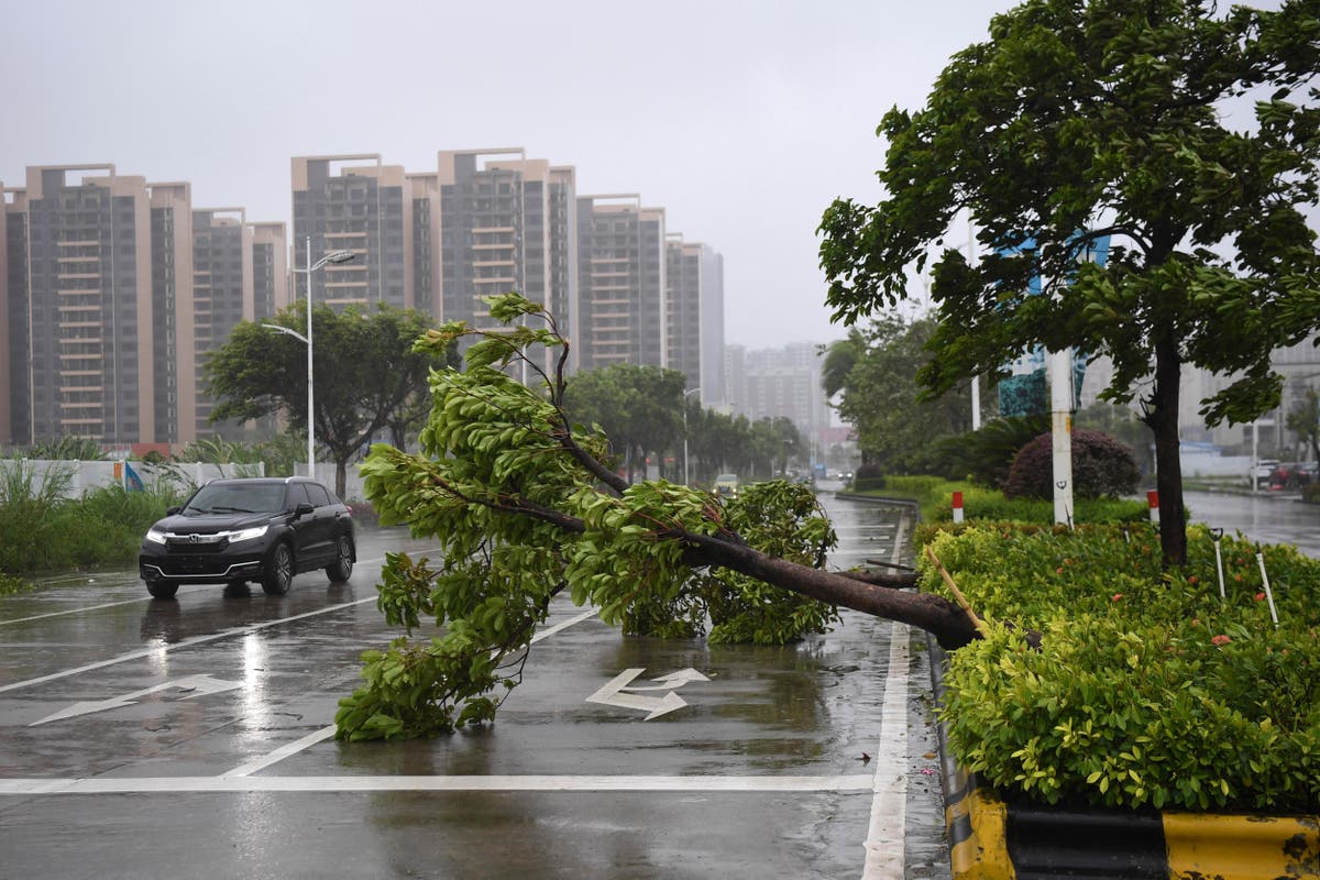 Tormenta tropical Ma-on toca tierra en el sur de China | Independent ...