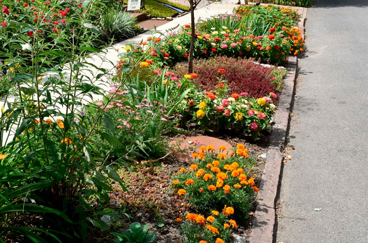 Turning a strip of no-man's land into garden, curb appeal | The Independent