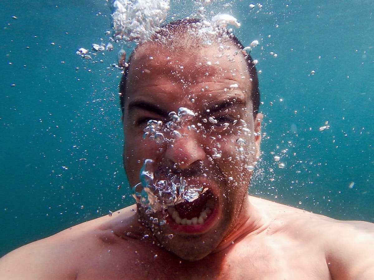 Scientists invent messaging app that ‘brings underwater communication ...