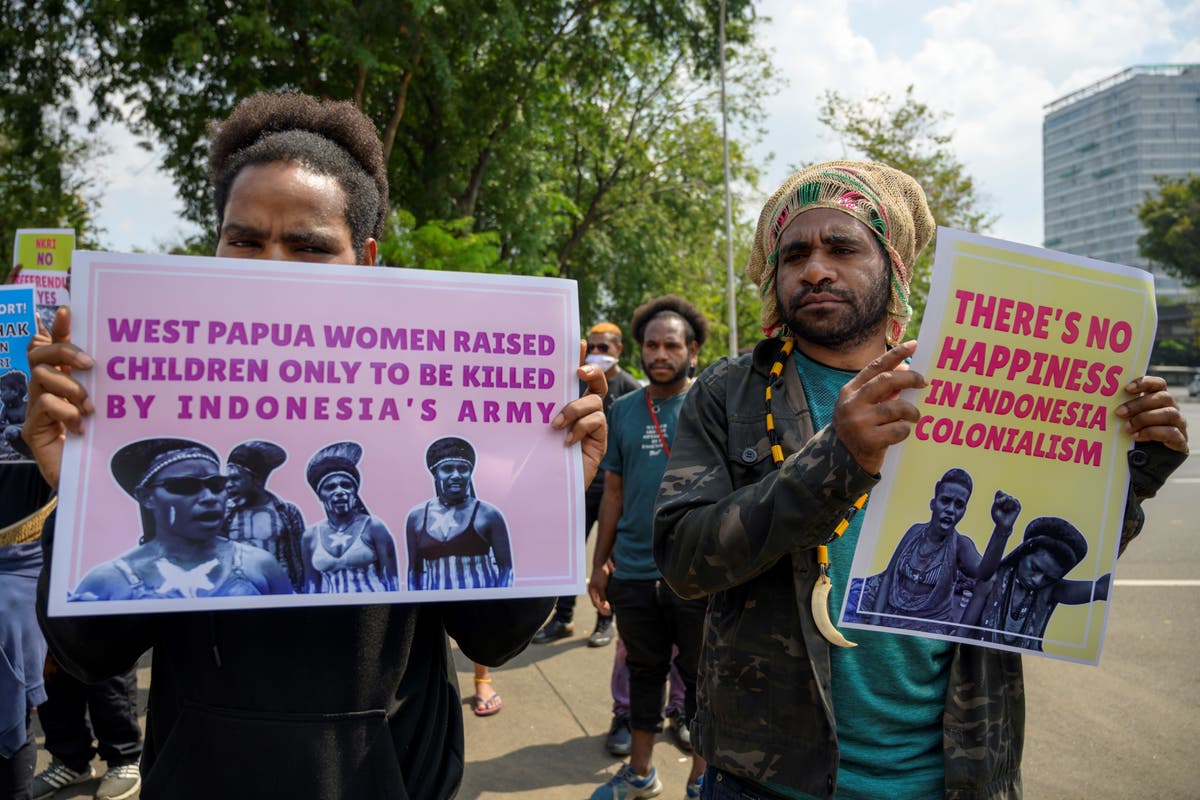 Papua killings: Six Indonesia soldiers arrested on suspicion of killing ...