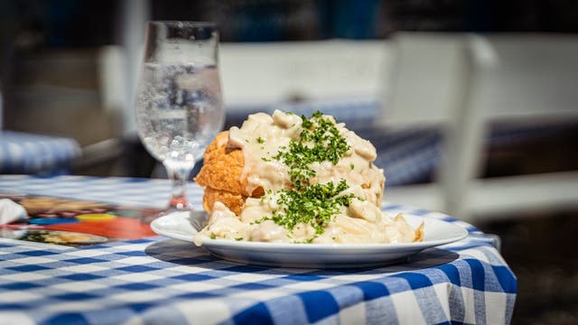 Wild rabbits, stone age settlements and fjord swimming: Exploring ...