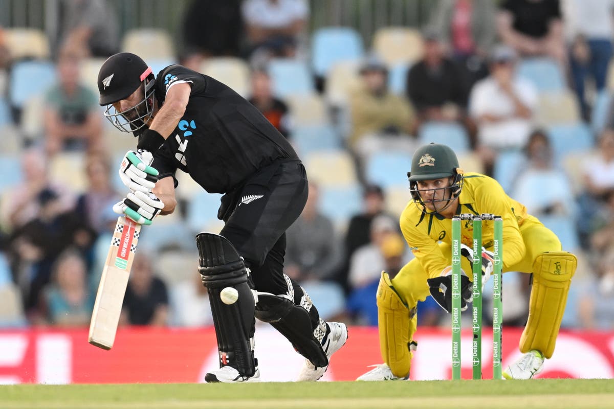 Australia vs New Zealand LIVE: Cricket score and updates from ODI today ...
