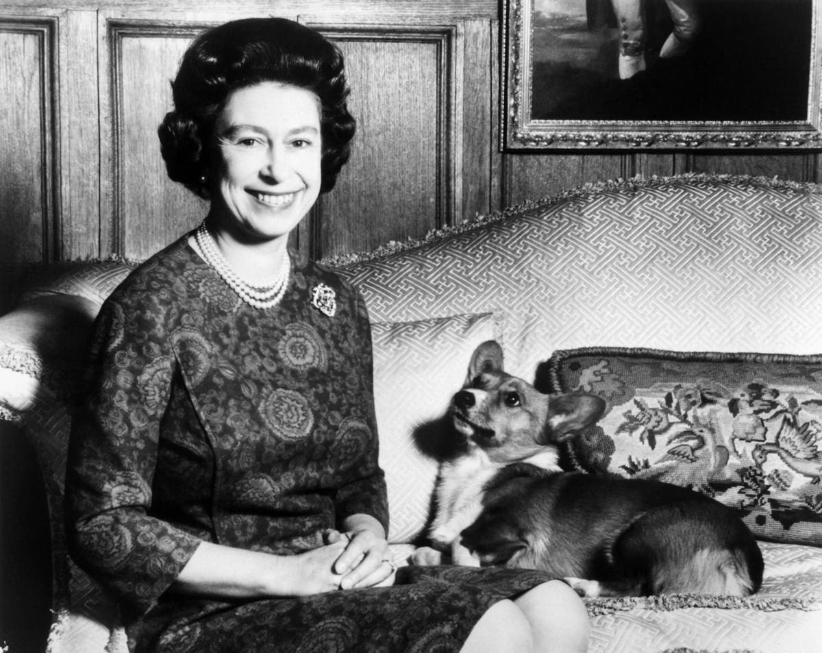Annual ‘Tour de Corgi’ parade adds Queen Elizabeth category to honour ...