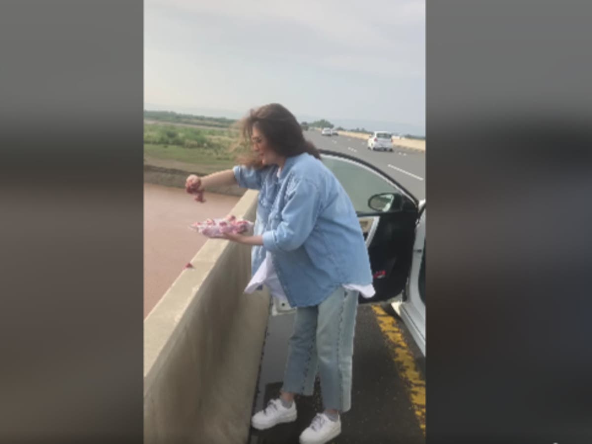 Pakistan actor Resham goes to bizarre lengths to justify polluting ...