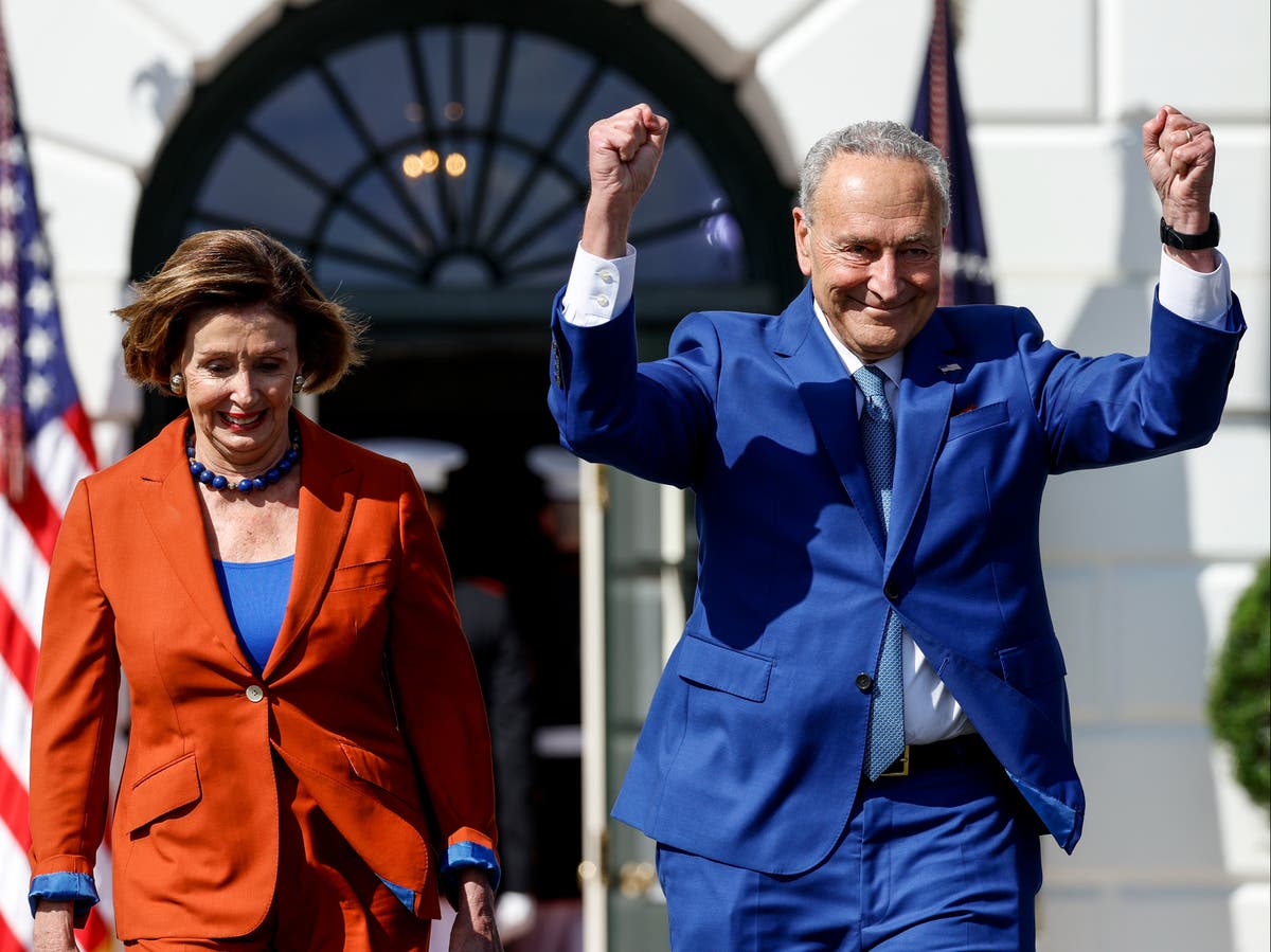 Chuck Schumer predicts Democrats are unlikely to hold House majority in ...