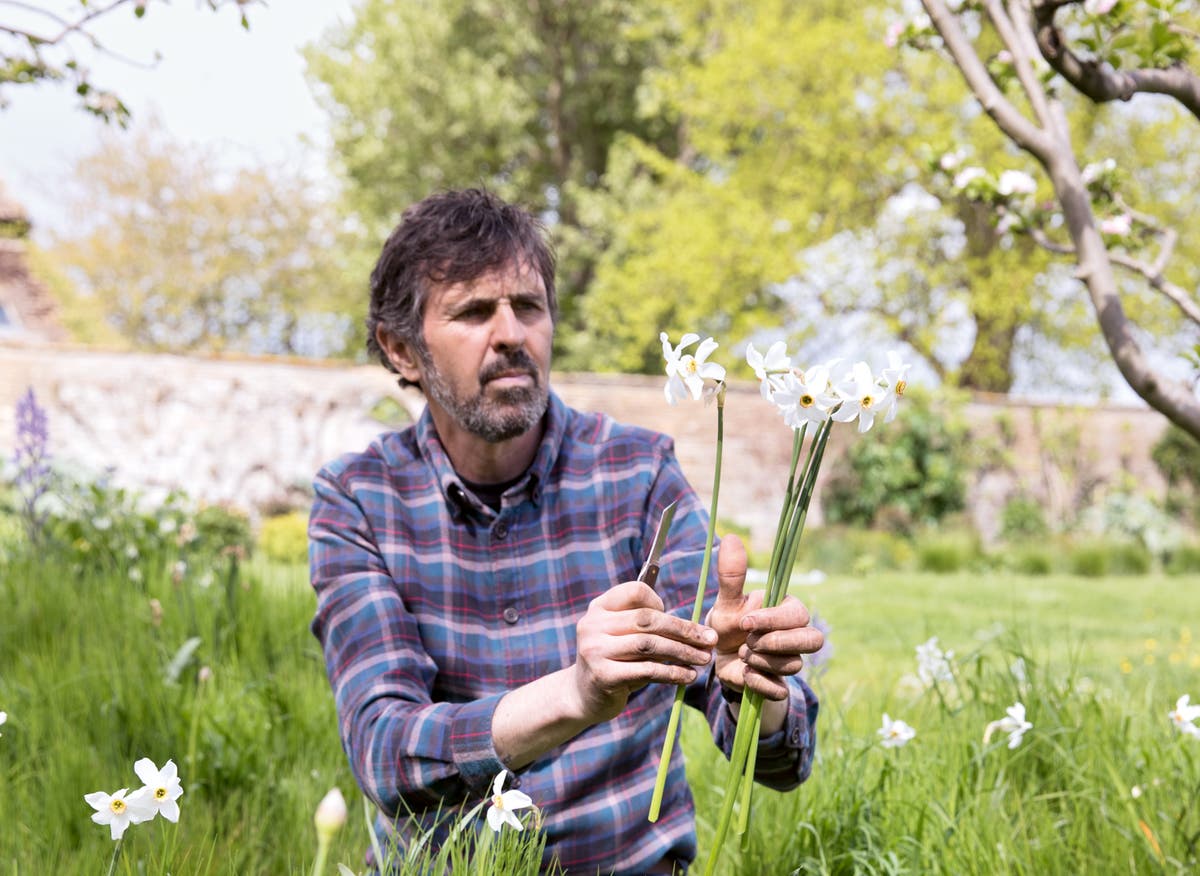Gardeners’ World presenter Adam Frost shares 5 top spring bulbs | The ...