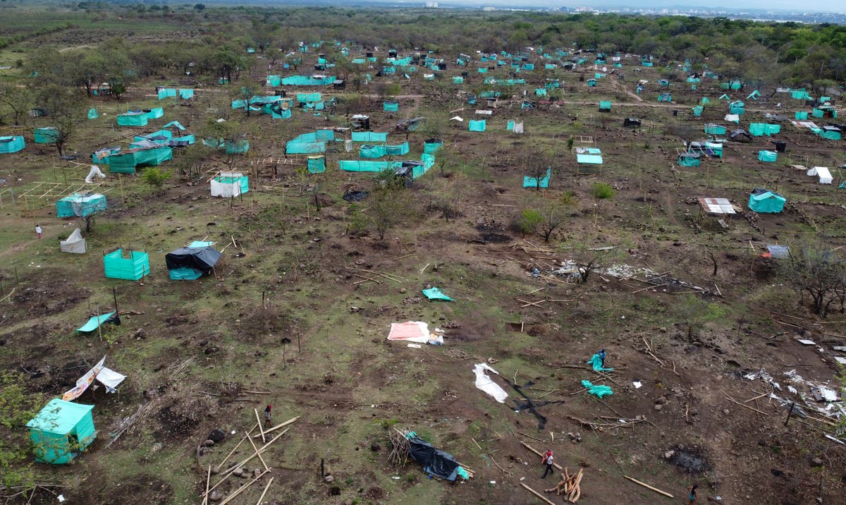 Compra de tierras en Colombia busca cerrar histórica brecha ...