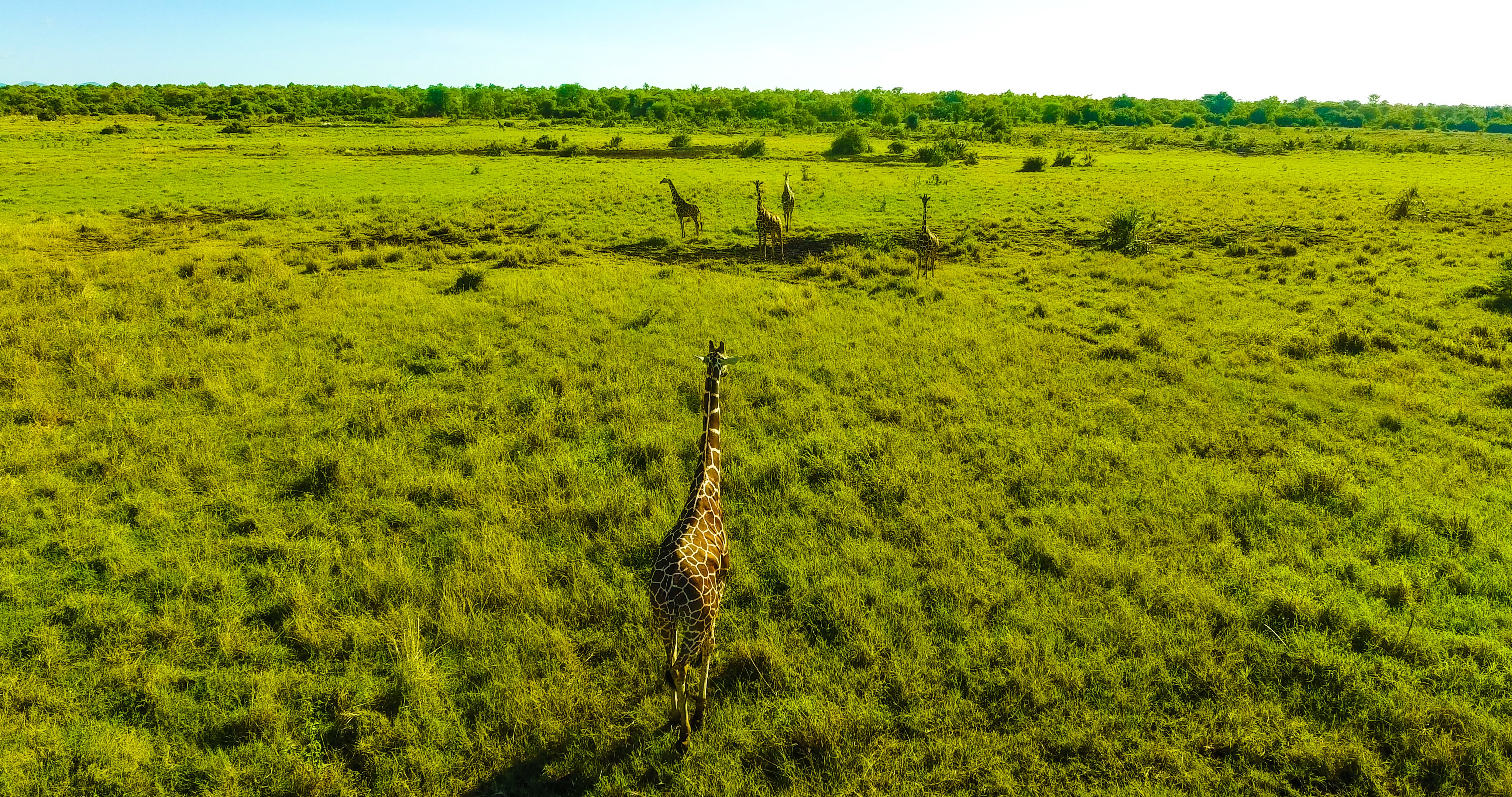 The seven best experiences to enjoy in Kenya | The Independent