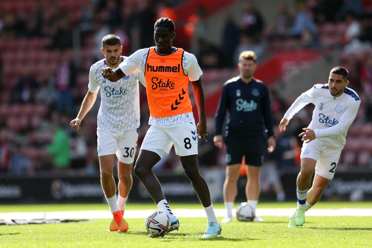 Southampton vs Everton LIVE: Latest Premier League Updates - Review Guruu Southampton vs Everton LIVE: Latest Premier League Updates - Review Guruu