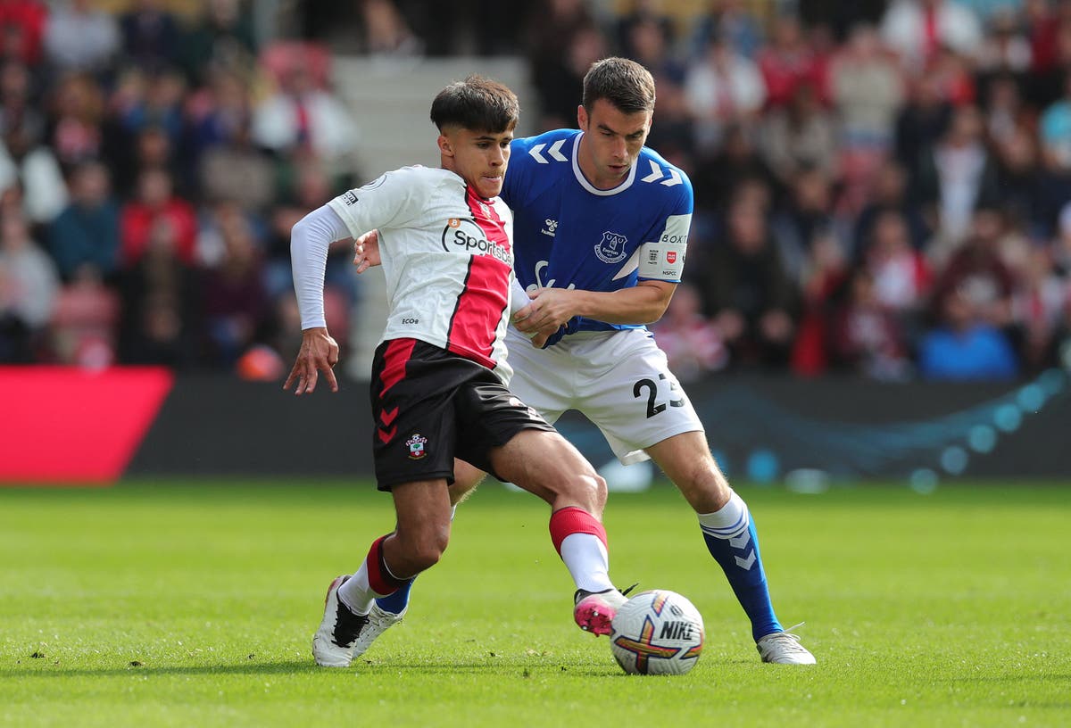 Southampton vs Everton LIVE: Premier League result, final score and ...