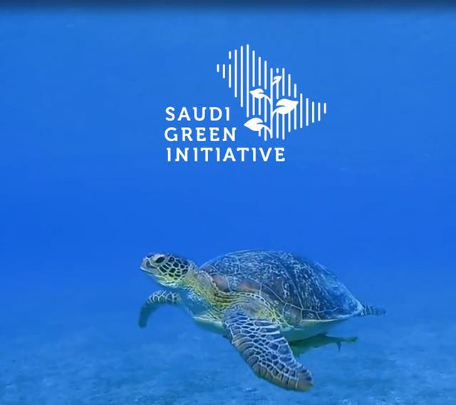 Saudi Green Initiative: Championing climate action