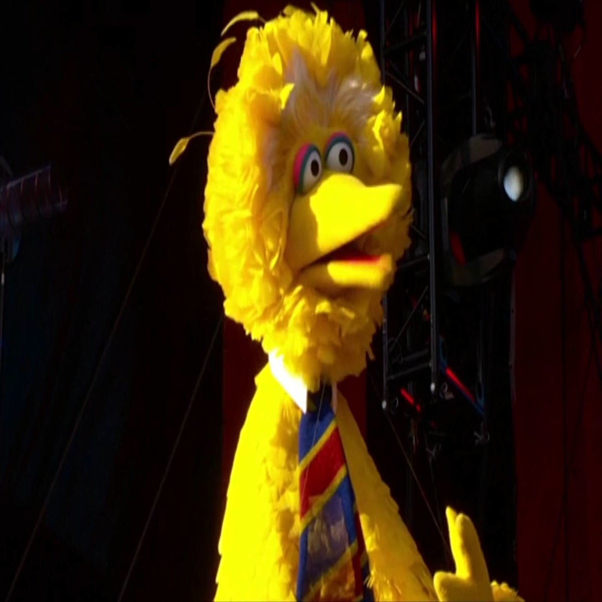 24 Facts About Big Bird Sesame Street Factsnet