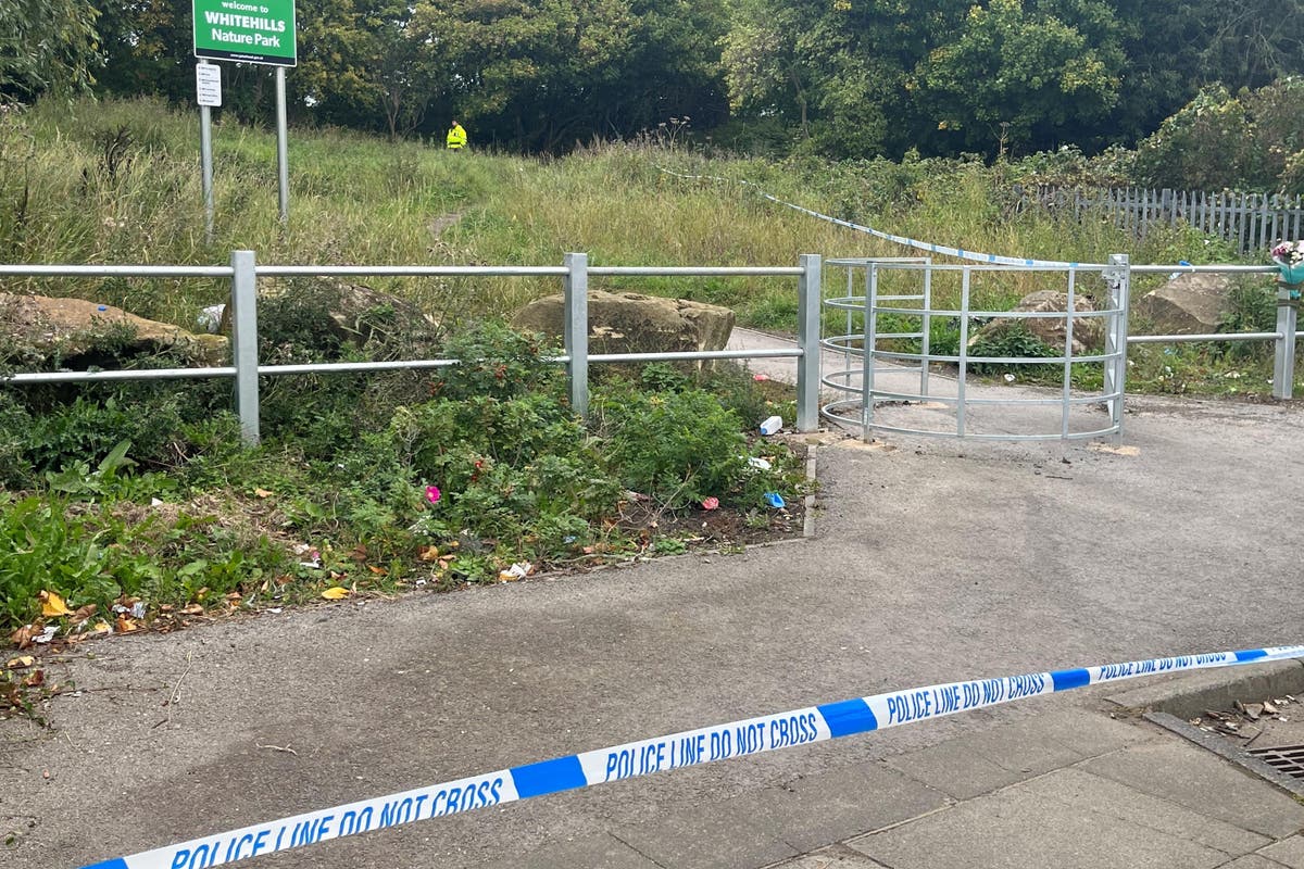 Boy, 14, arrested on suspicion of murder after teenager dies in ...