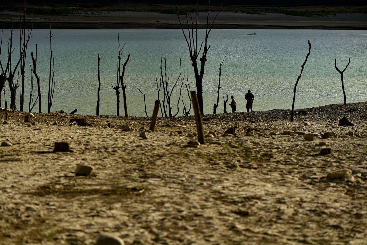 Climate change made summer drought 20 times more likely | The Independent
