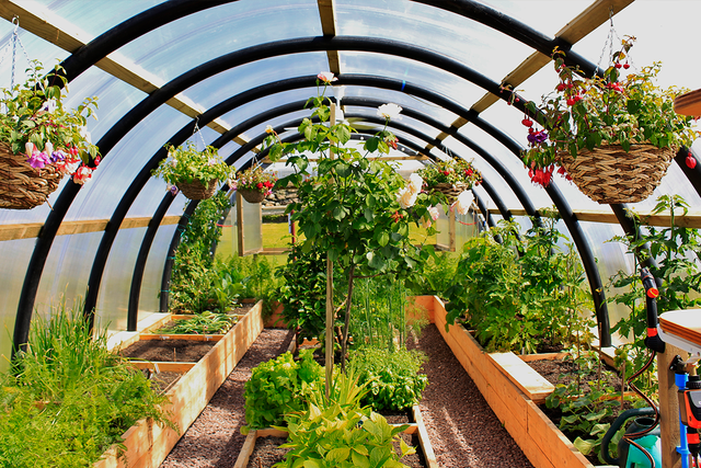 10 ways to become more eco-conscious this autumn | The Independent