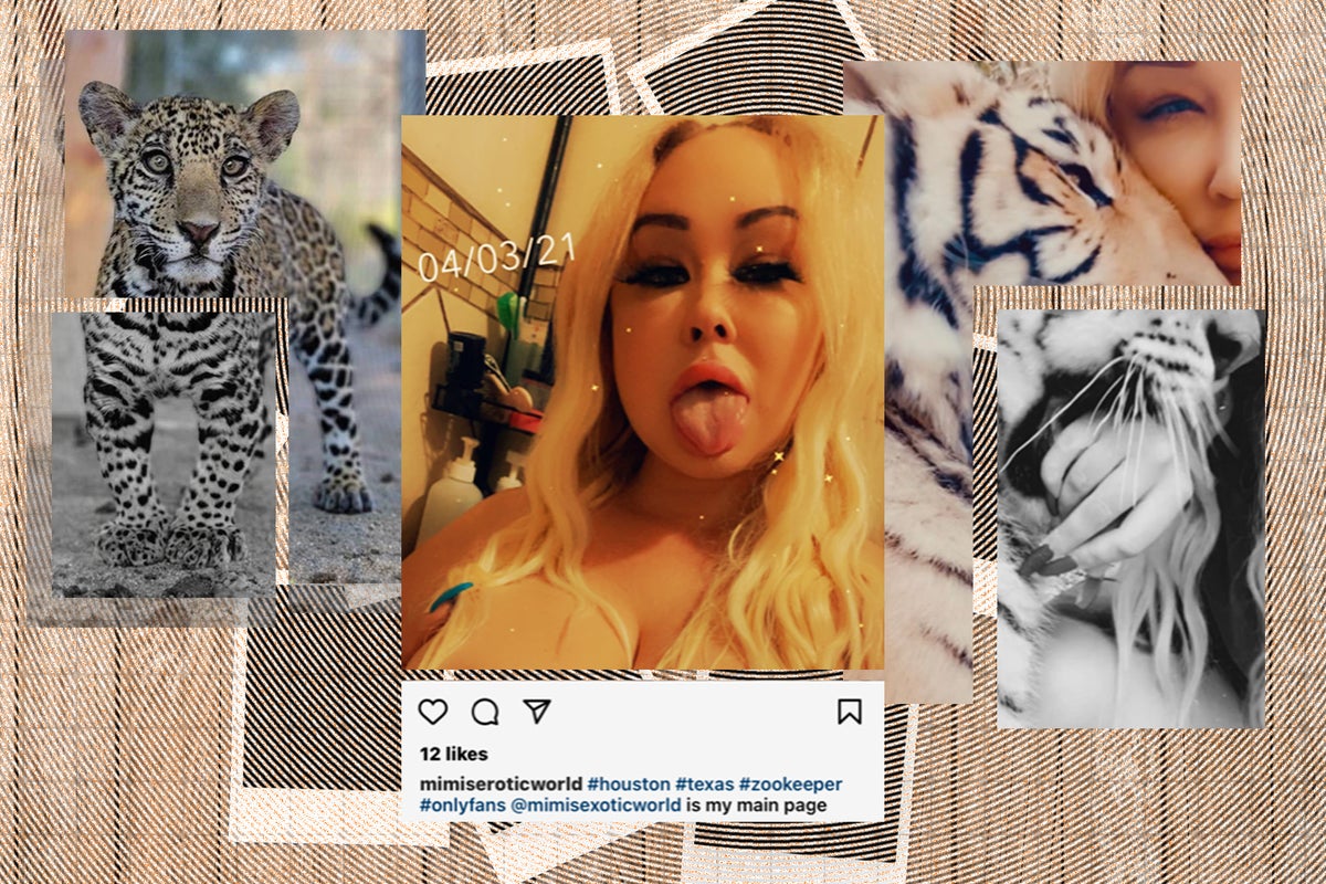 Trisha Meyer: Meet the new Tiger King Mimi Erotic who fled the FBI ...