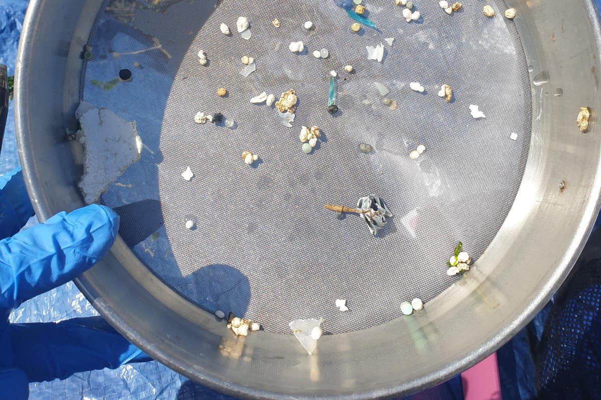 Mechanical devices to capture plastic pollution trap marine organisms ...