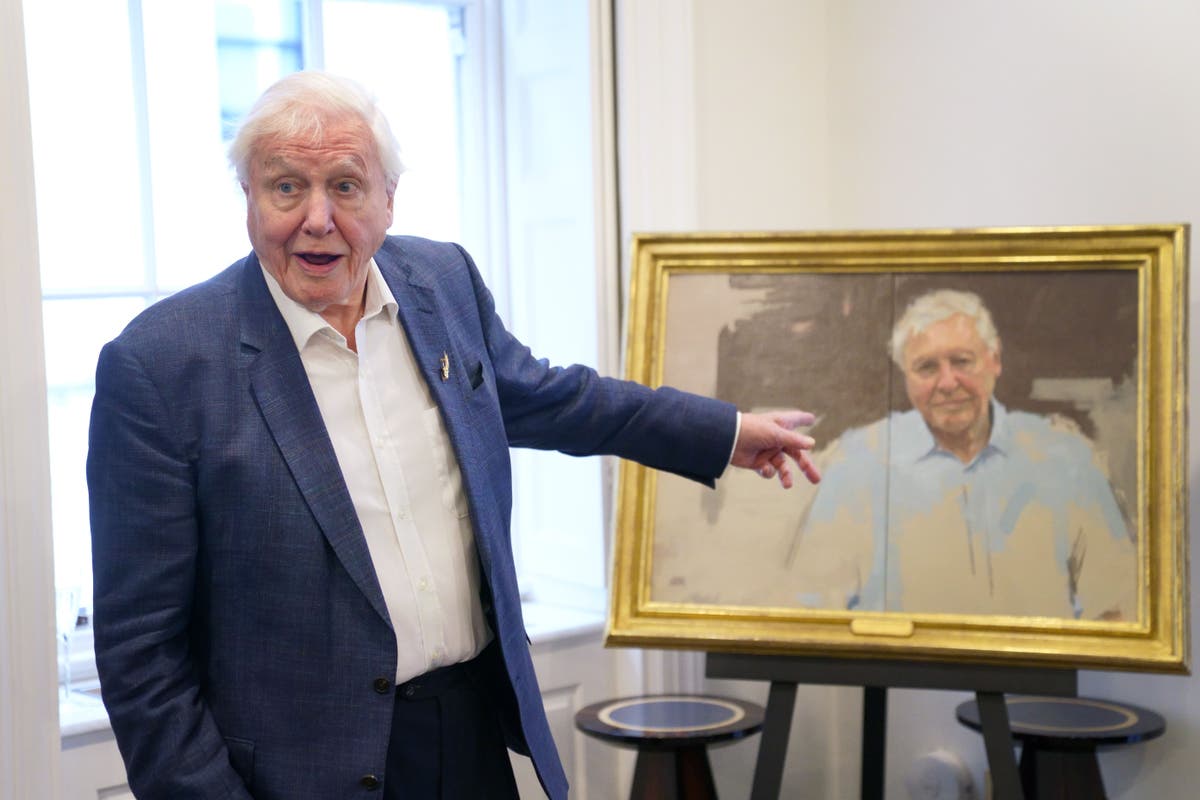 New portrait of Sir David Attenborough donated to wildlife conservation ...
