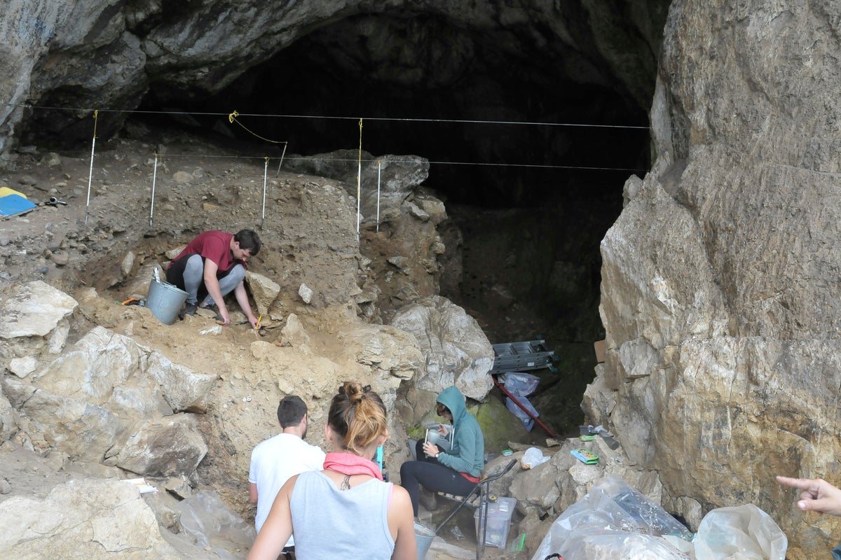 Ancient DNA gives rare snapshot of Neanderthal family ties | The ...